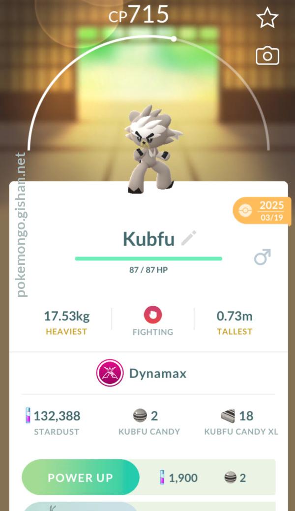 Kubfu - Pokemon Go